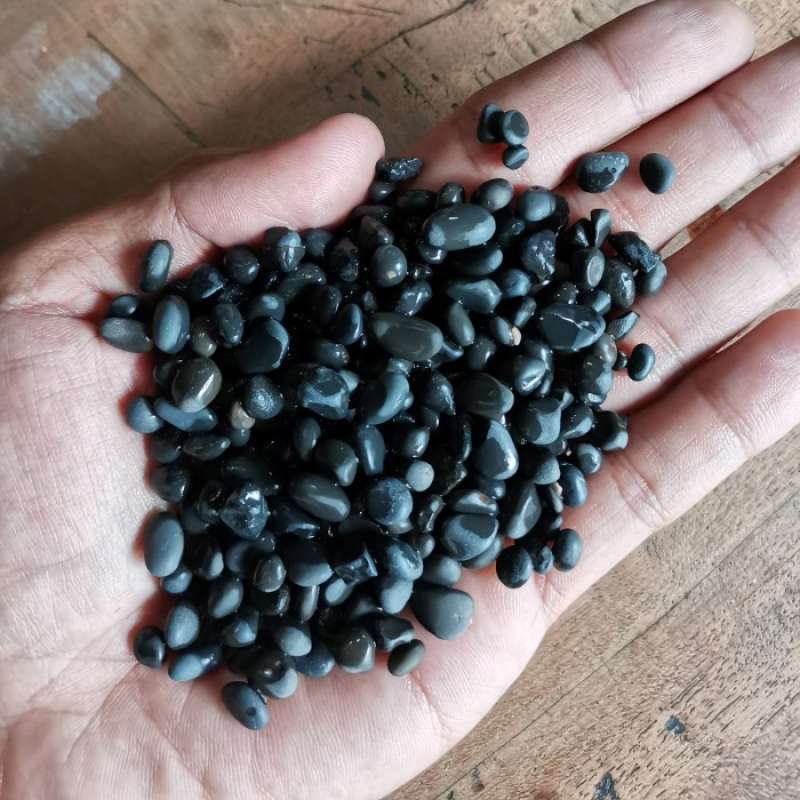 Promo Batu Sikat Koral Tabur Hitam Alor Berbagai Ukuran Sak 8kg Diskon ...