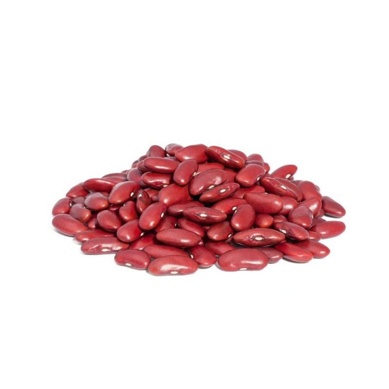 Southwest Red newest beans organic Primary Beans