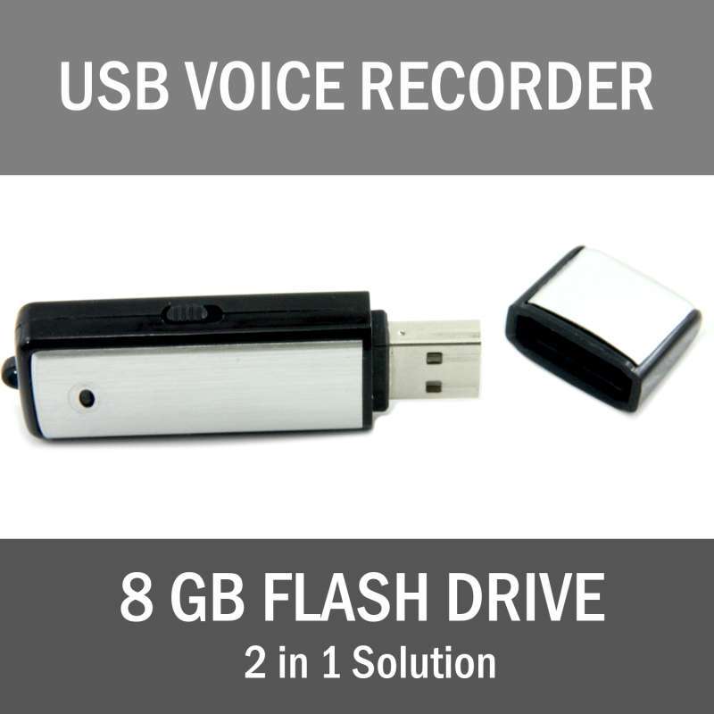 Jual Bitzonic Usb Flash Disk Drive Digital Voice Recorder Usb Alat ...