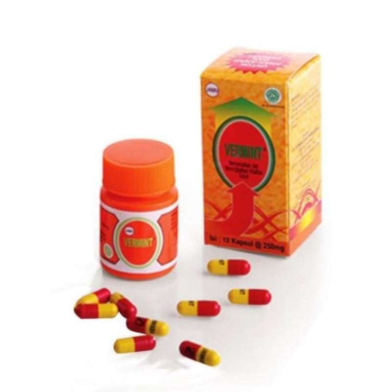 Jual vermint kecil 12 kapsul ekstrak cacing obat typus demam tinggi ...