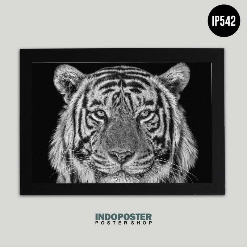Jual Poster Hiasan Dinding Harimau Hitam Putih INDOPOSTER A4 30X20cm di ...