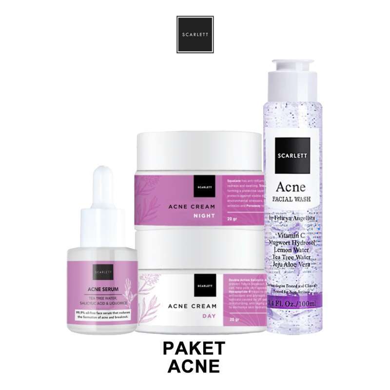 Jual SCARLETT SCARLET PAKET PERAWATAN WAJAH ACNE FACIAL WASH SERUM ...