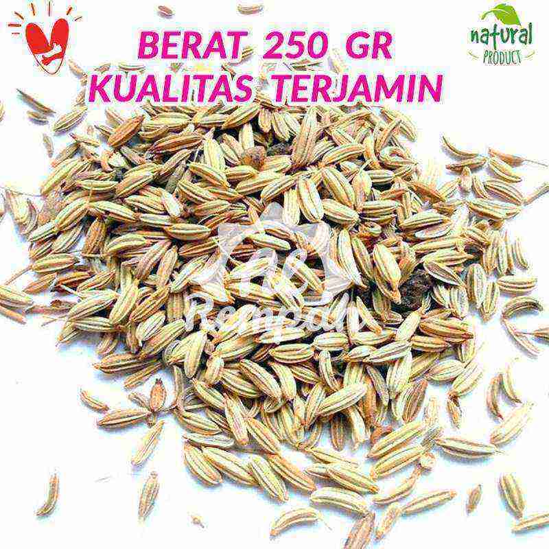 Jual Biji Adas / Adas Manis / Fennel Seed 250 gr Grade A - Produk ...