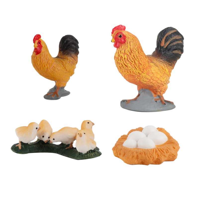 Jual Plastic Chicken Life Cycle 4 Stages Educational Learning Toy ...