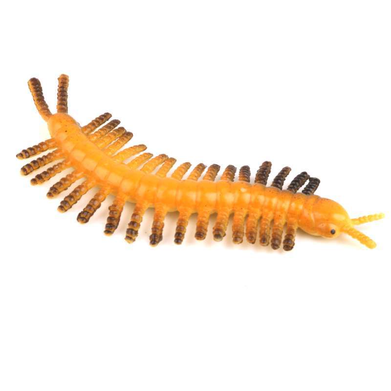 Jual 12 Plastic Halloween Insect Model Centipede Scorpion Fly Ant Trick ...