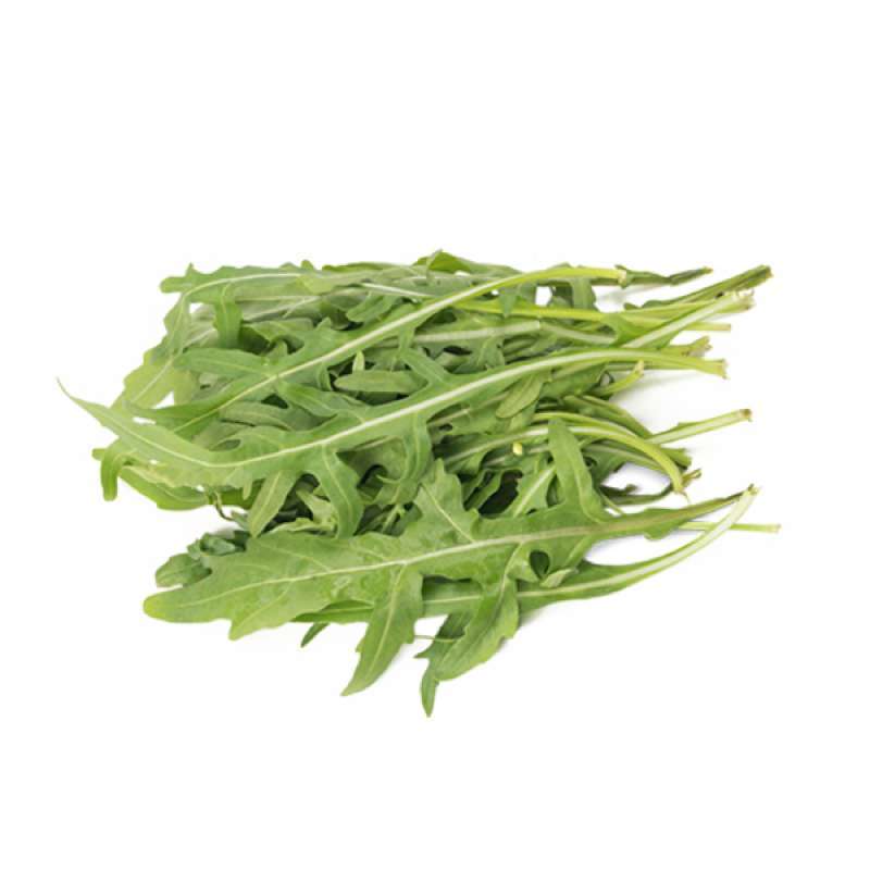 Jual Aragula / Wild Rocket 500g di Seller Dropezy Official Store ...