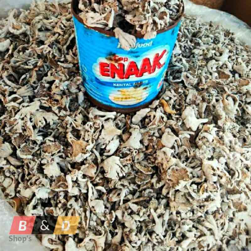Jual Jamur Grigit | Jamur Kerikit Kering Netto 250 Gram. di Seller B ...