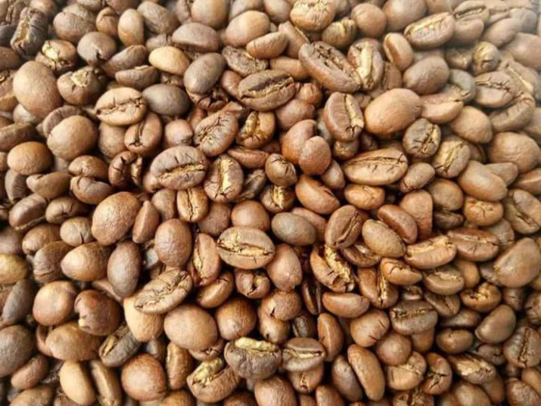 Jual Biji Kopi Nangka atau Liberika Roasting (100% Original) di Seller ... Jual Biji Kopi Nangka atau Liberika Roasting (100% Original) di Seller ...