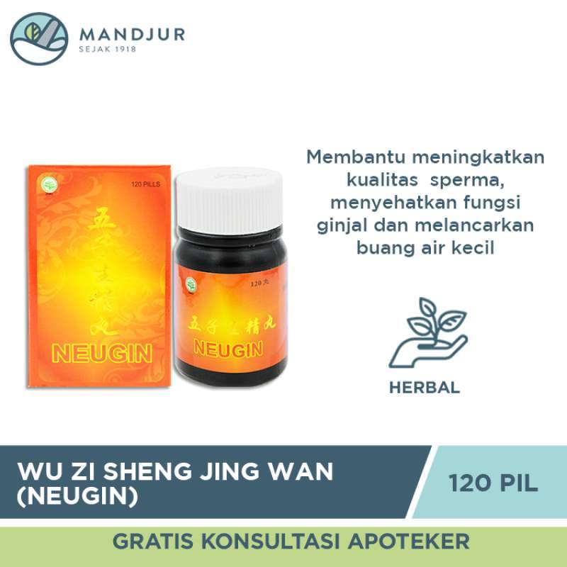 Promo SINAR HERBA RADIX Neugin Obat Herbal China untuk Memelihara ...