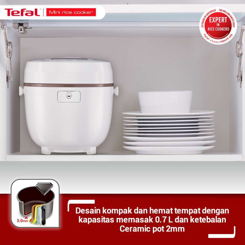 Jual Tefal Mini Cooker Rk5001 - Rice Cooker Di Seller Tefal Official ...