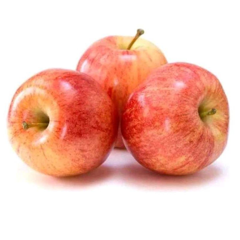 Jual 1 Kg APEL ROYAL GALA FRESH di Seller DANNHERL - Harapan Jaya, Kota ...