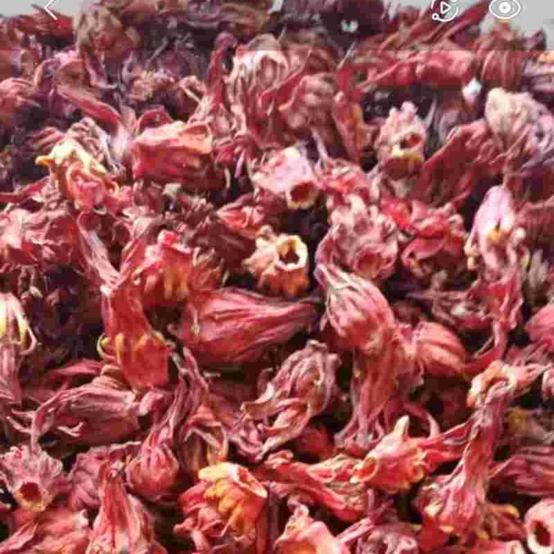 Jual Bunga Rosella kering dapat 1 kg di Seller Star Laboratories ...