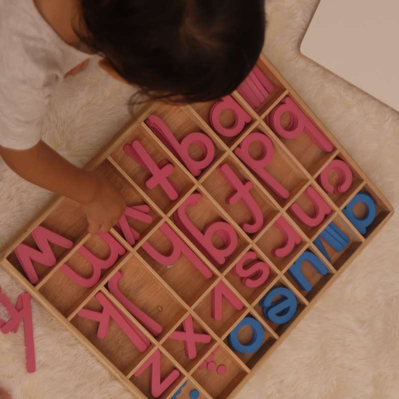 Jual Large Moveable Alphabet Di Seller Letthefunbegun - Tanah Tinggi ...