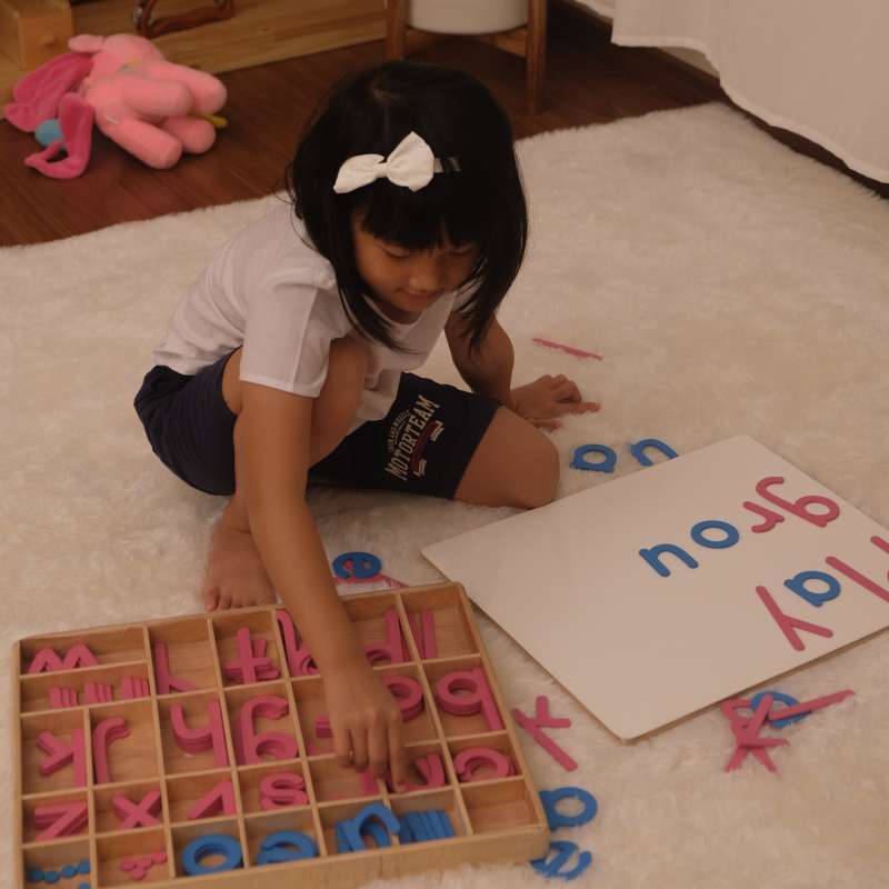 Jual Large Moveable Alphabet Di Seller Letthefunbegun - Tanah Tinggi ...