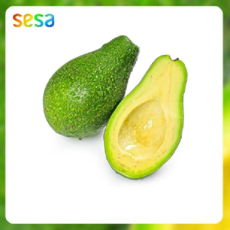 Jual Alpukat Mentega 1 Kilo Termurah - Harga Grosir Terupdate Hari Ini ...
