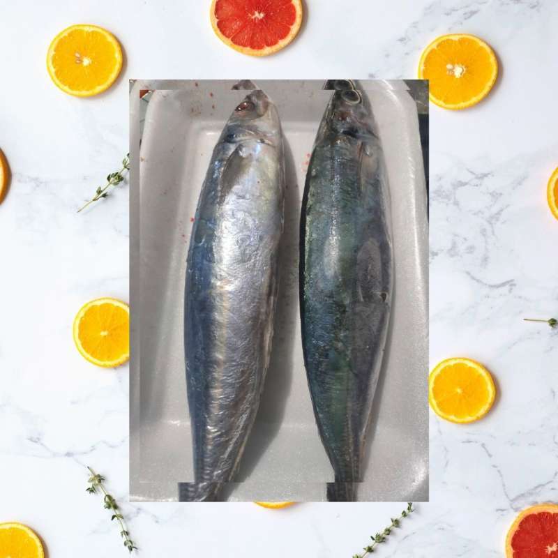 Jual Ikan Kembung Layang 1/2 Kg di Seller ikantukang15 - Jatipulo, Kota ...