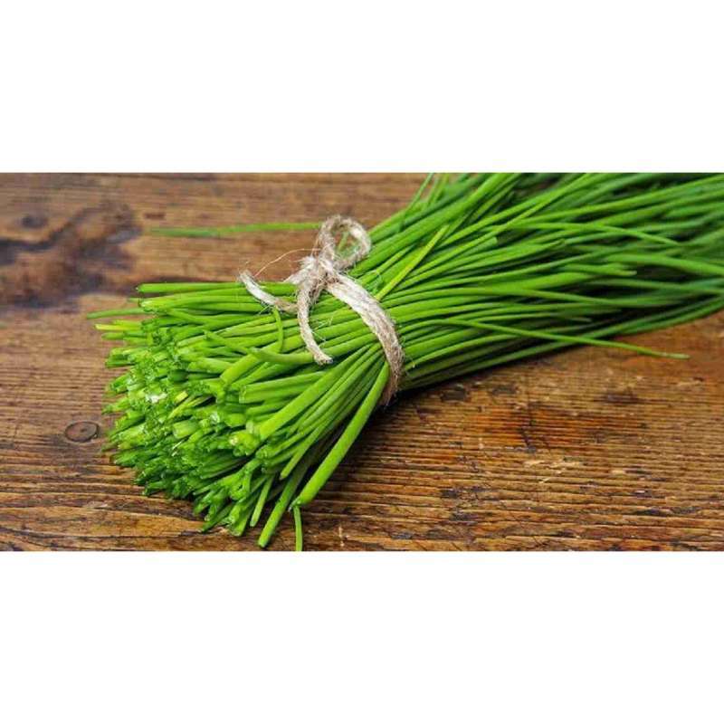 Jual Daun kucai - sayur kucay - 500 gram Halal di Seller SayFruit ...