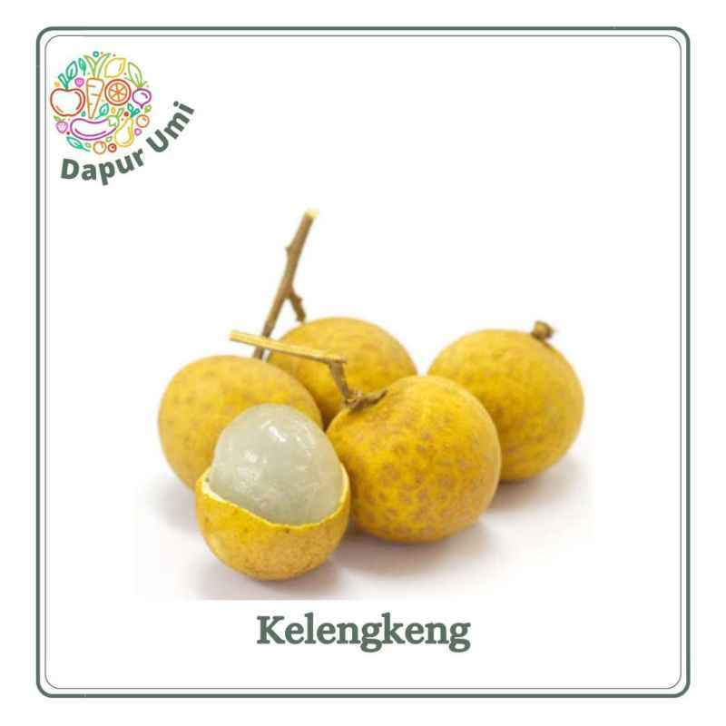 Jual KLENGKENG / KELENGKENG / KALENGKENG - BUAH BUAHAN SEGAR PURWAKARTA ... Jual KLENGKENG / KELENGKENG / KALENGKENG - BUAH BUAHAN SEGAR PURWAKARTA ...