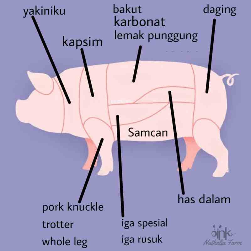 Jual Babi Organik 1 Kg Samcan Slab Pork Belly Organic Pork Daging Babi ...