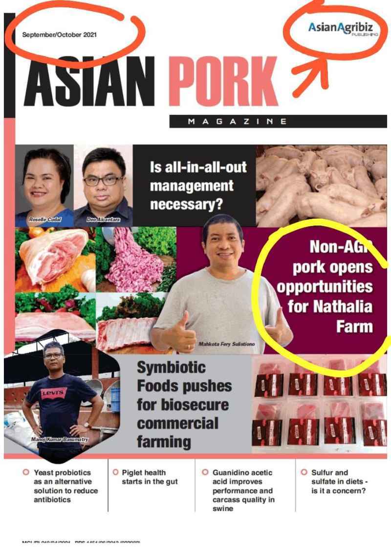 Jual Babi Organik 1 Kg Samcan Slab Pork Belly Organic Pork Daging Babi ...