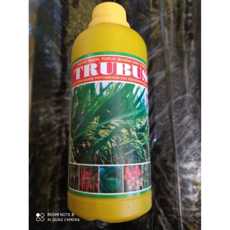 Jual PUPUK CAIR ORGANIK TEROBOS / TRUBUSO - CEPAT MENINGKATKAN BUAH ...