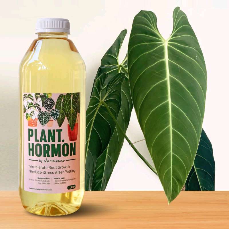 Jual Plant Hormon / Hormon Tanaman Di Seller Planticous.id - Citarum ...