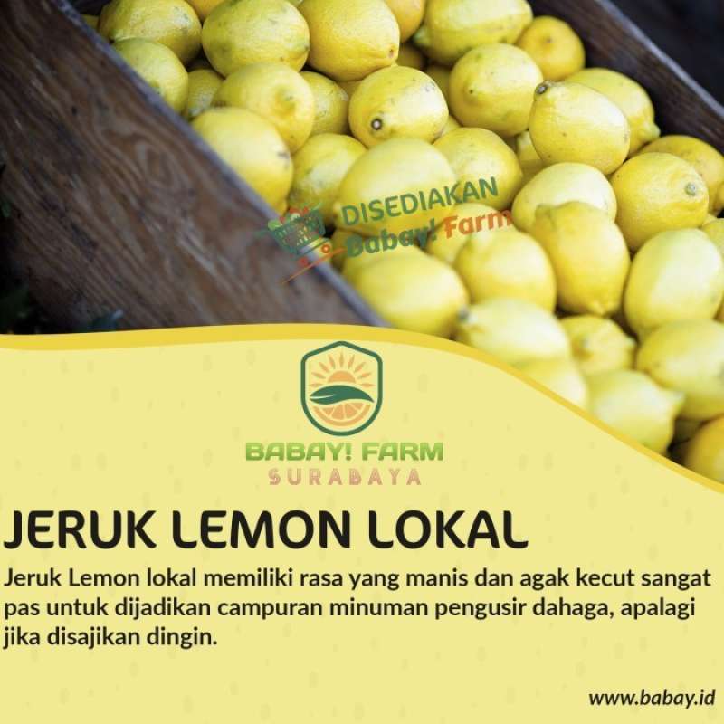 Promo Jeruk Lemon Lokal Segar 500 Gr Diskon 10% di Seller Babay! Farm ...