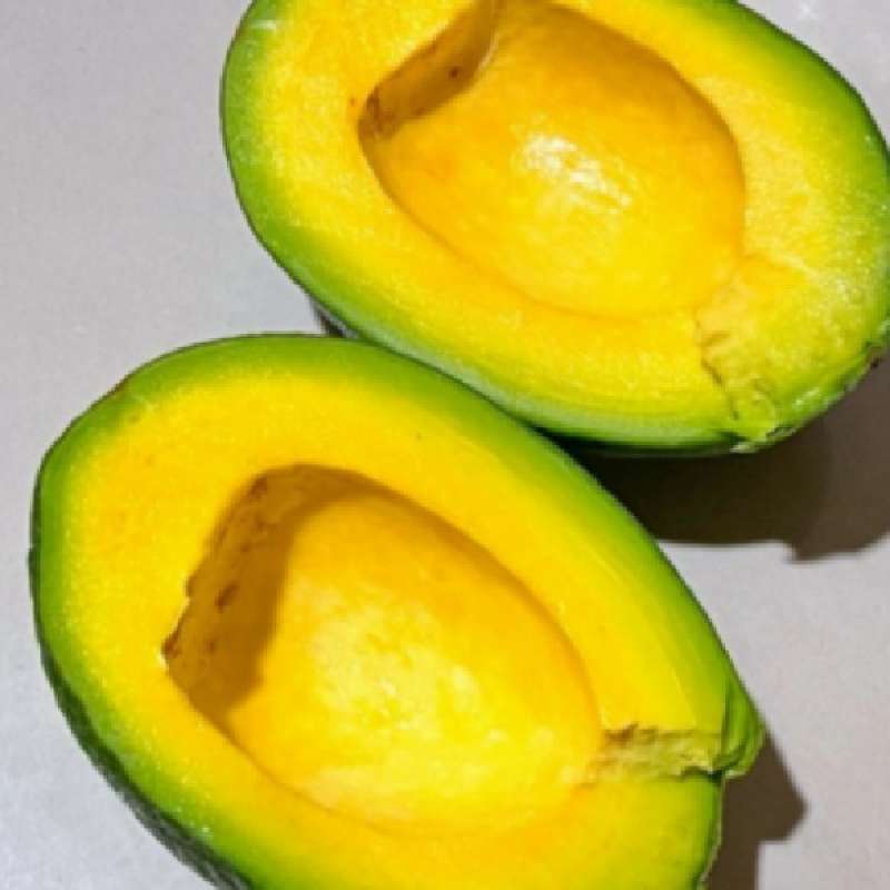 Jual alpukat mentega 1 kg di Seller Yusapharma - Grogol, Kota Jakarta ...