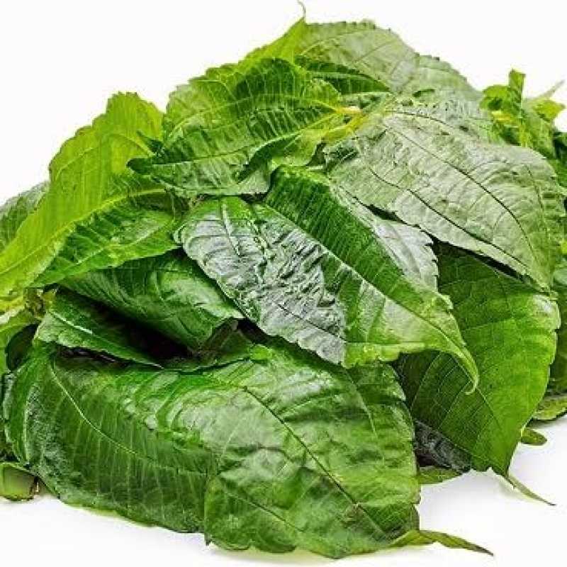 Jual Daun Poh Pohan Segar Berkualitas - 1 Ikat Halal di Seller JURAGAN ...