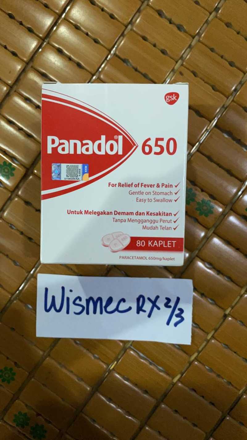 Panadol 650 Lengkap Harga Terbaru Juni 2024 | Blibli