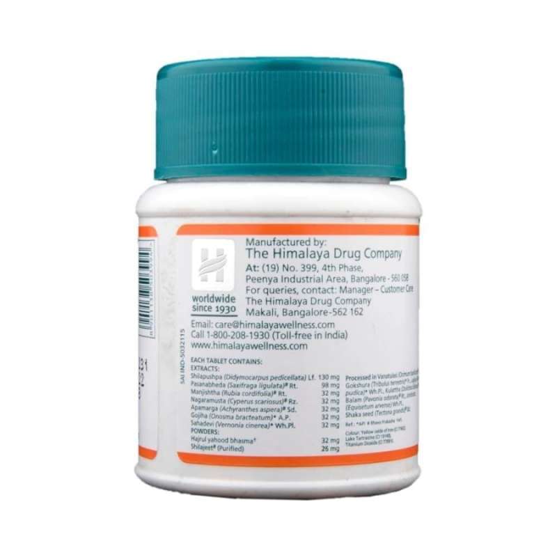 Jual Cystone 60 Tablet / Obat Herbal Batu Ginjal/ Infeksi Saluran ...