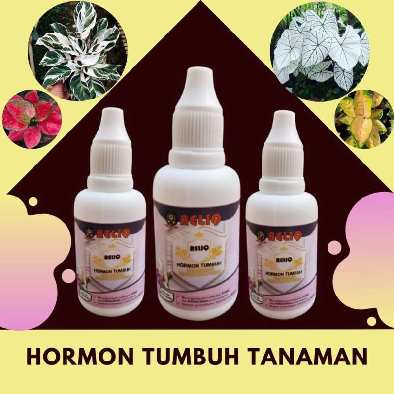 Jual Hormon Tanaman Varigata, Pupuk Varigata Daun Penumbuh Tunas Dan ...