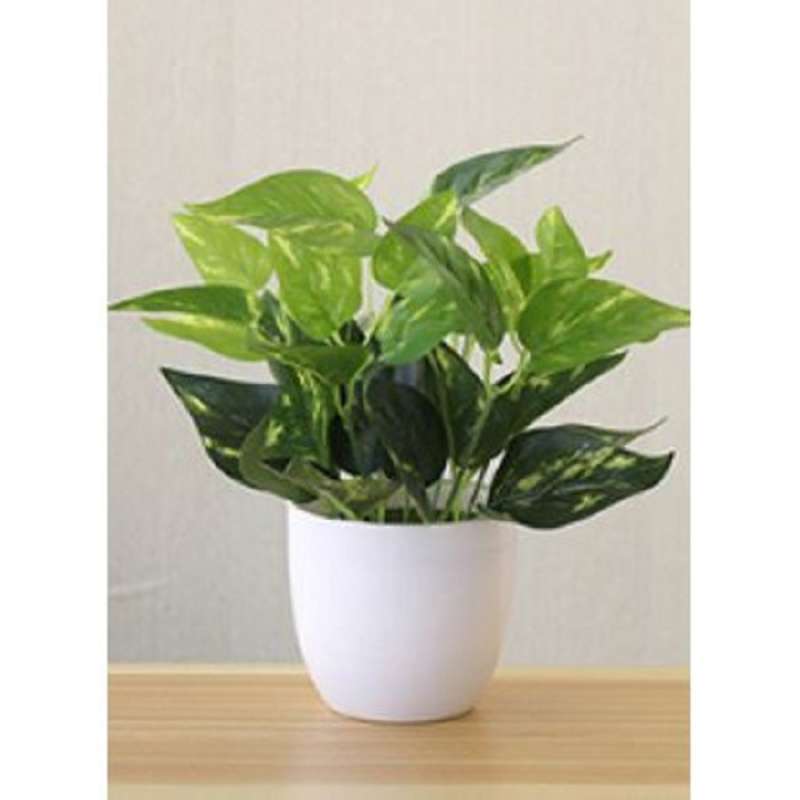 Jual Pot Bunga Plastik Tanaman Hias Artificial Daun Rambat Kering ...