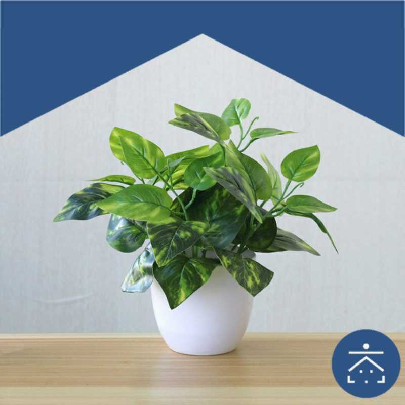 Jual Pot Bunga Plastik Tanaman Hias Artificial Daun Rambat Kering ...