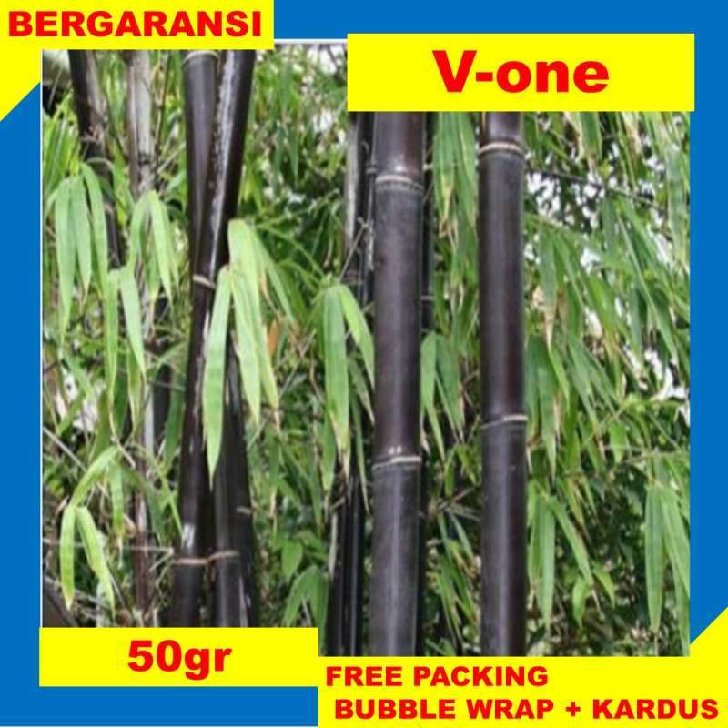 Jual Potongan Bambu Hitam Bambu Wulung Ukuran 35-60 Cm di Seller herbal ...