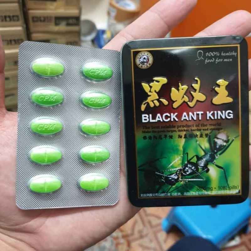 King Black Ant