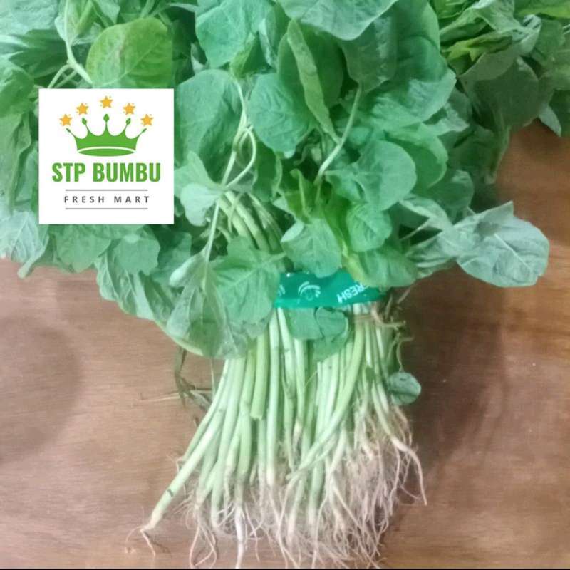 Sayur Bayam 1 Kg Gratis Ongkir 🏷️ Harga Murah April 2026