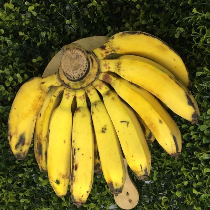 Pisang Raja 1 Sisir Gratis Ongkir 🔥 Harga Murah Juni 2026
