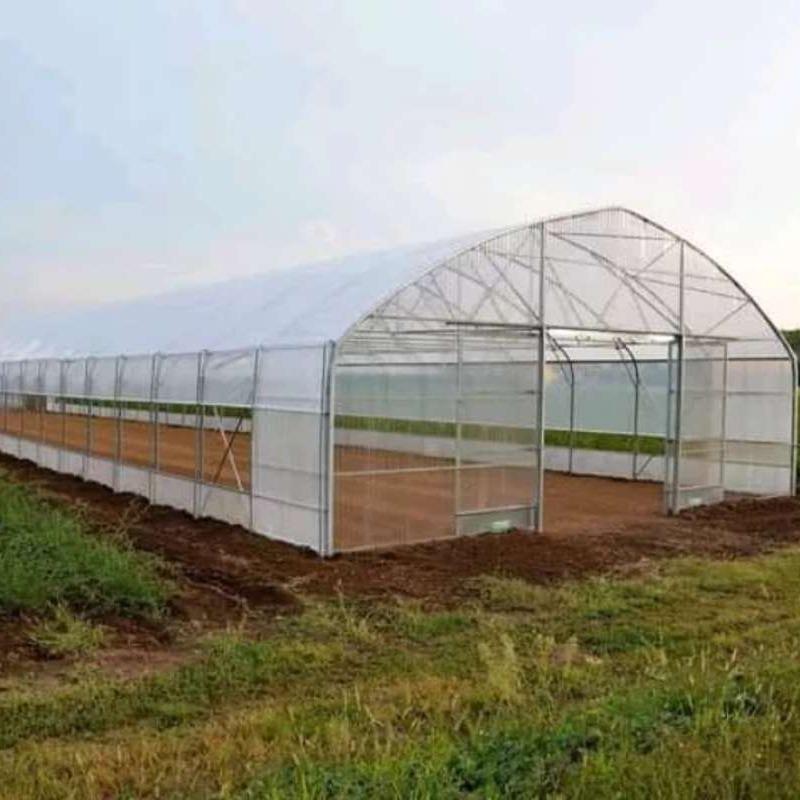 Promo Plastik uv 200 micron ukuran 7x8 meter greenhouse tanpa sambungan Diskon 10% di Seller ...