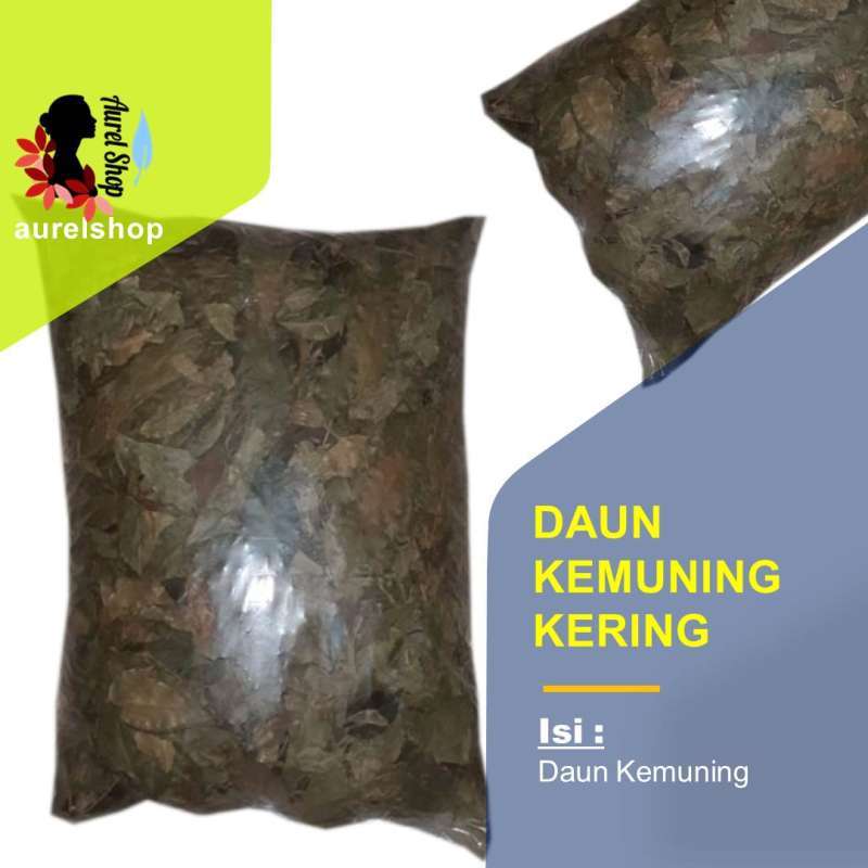 Jual Daun Kemuning Kering 1 Kg Termurah - Harga Grosir Terupdate Hari ...