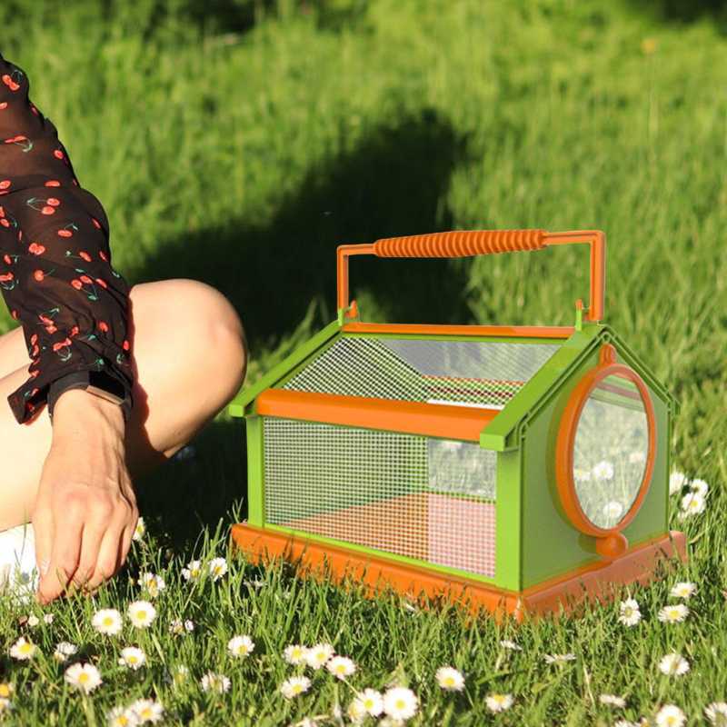 Promo Portable Butterfly Insect Habitat Cage Critter Caterpillars ...