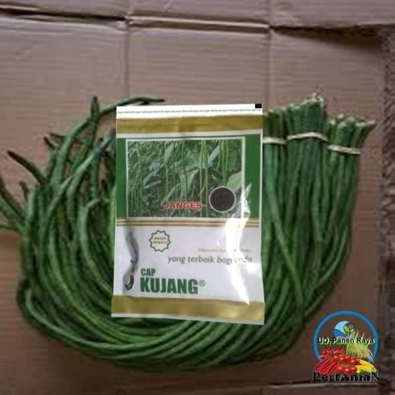 Jual Benih Kacang Panjang Super Janges By Cap Kunjang Di Seller Ot ...