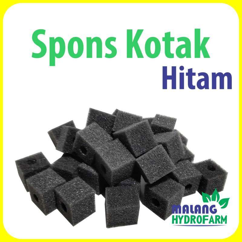 Promo Media Tanam Spons Kotak Putih 2,5 x 2,5 x 2,5 cm cubs kubus siap ...