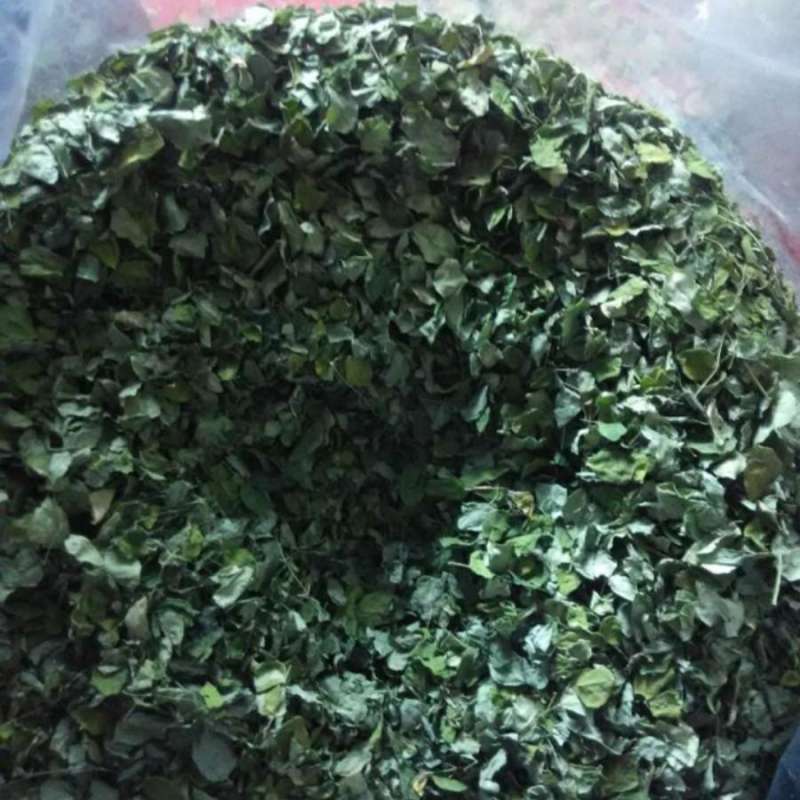 Jual 1 Kilo Teh Daun Kelor Termurah Di Seller Topp Seller - Kepuhrejo ...