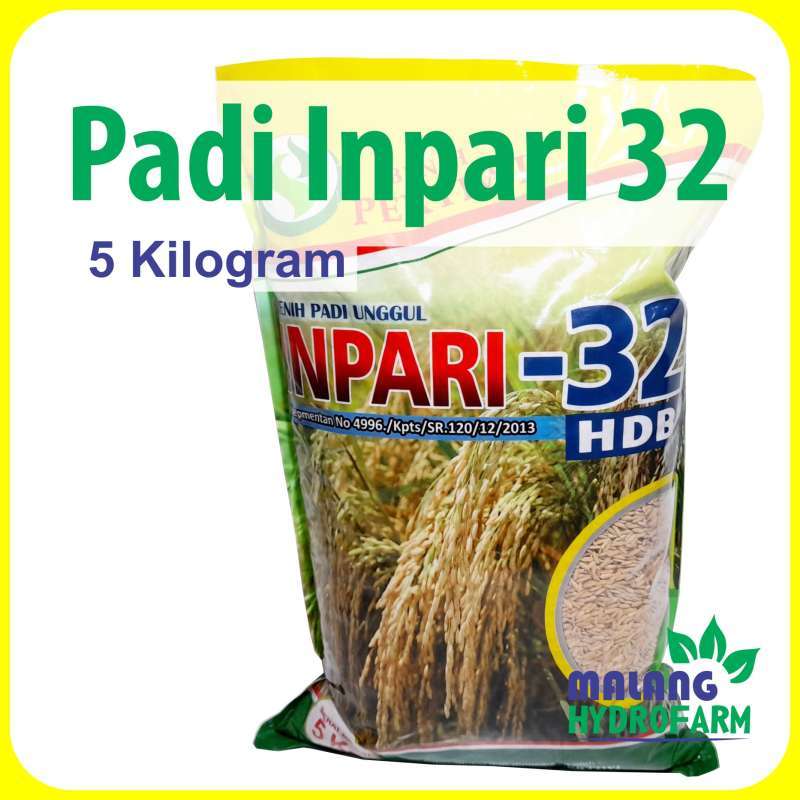 Jual Benih Padi Inpari 32 HDB 5 Kg Pertiwi unggul bibit hidroponik hydroponik raja sawah irigasi ...