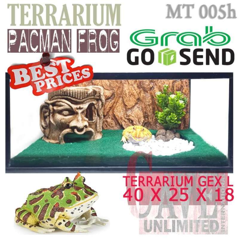Jual MT005H KANDANG AQUARIUM TERRARIUM PACMAN KATAK KODOK FROG AMPHIBI ...