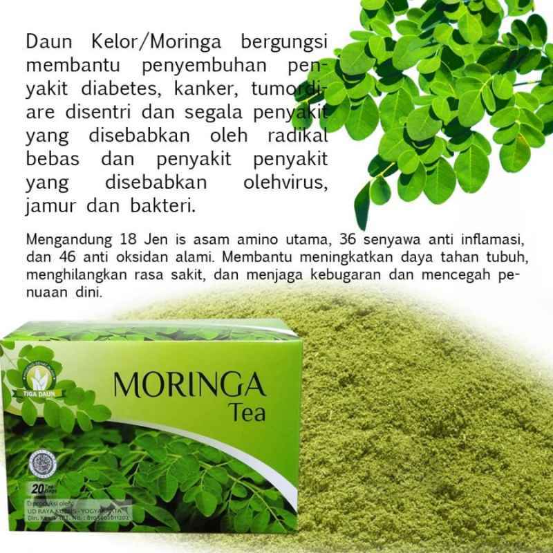 Jual Teh Celup Daun Kelor (moringa Tea) Cap Tiga Daun 20 Sachet Di ...