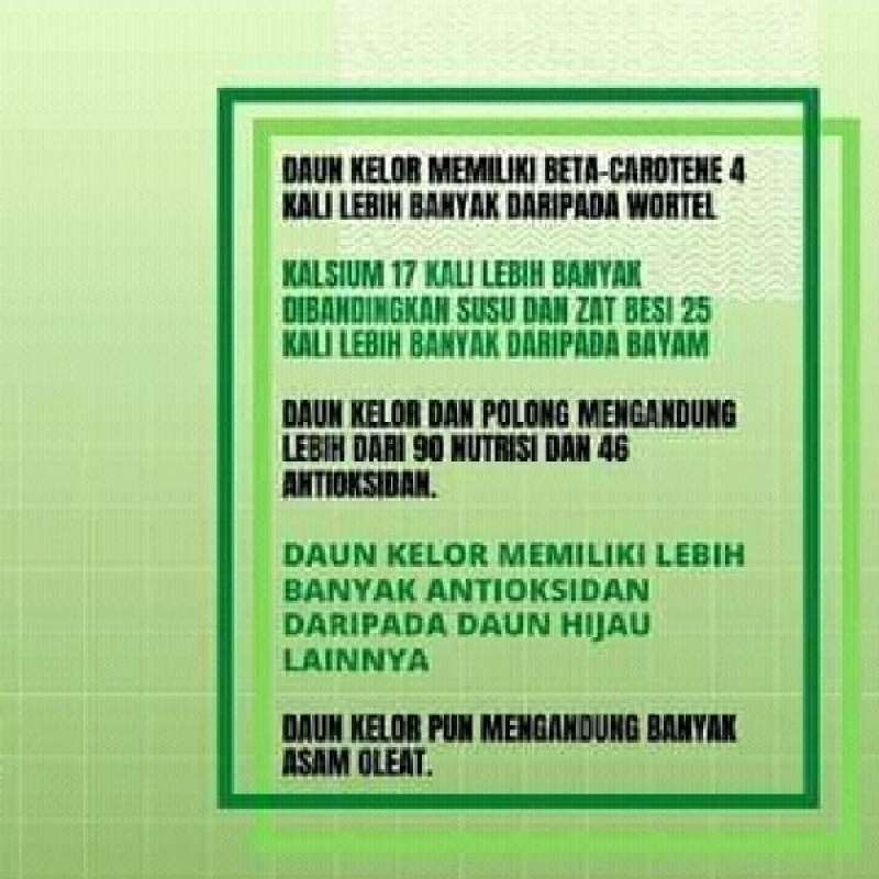 Jual Teh Celup Daun Kelor (moringa Tea) Cap Tiga Daun 20 Sachet Di ...