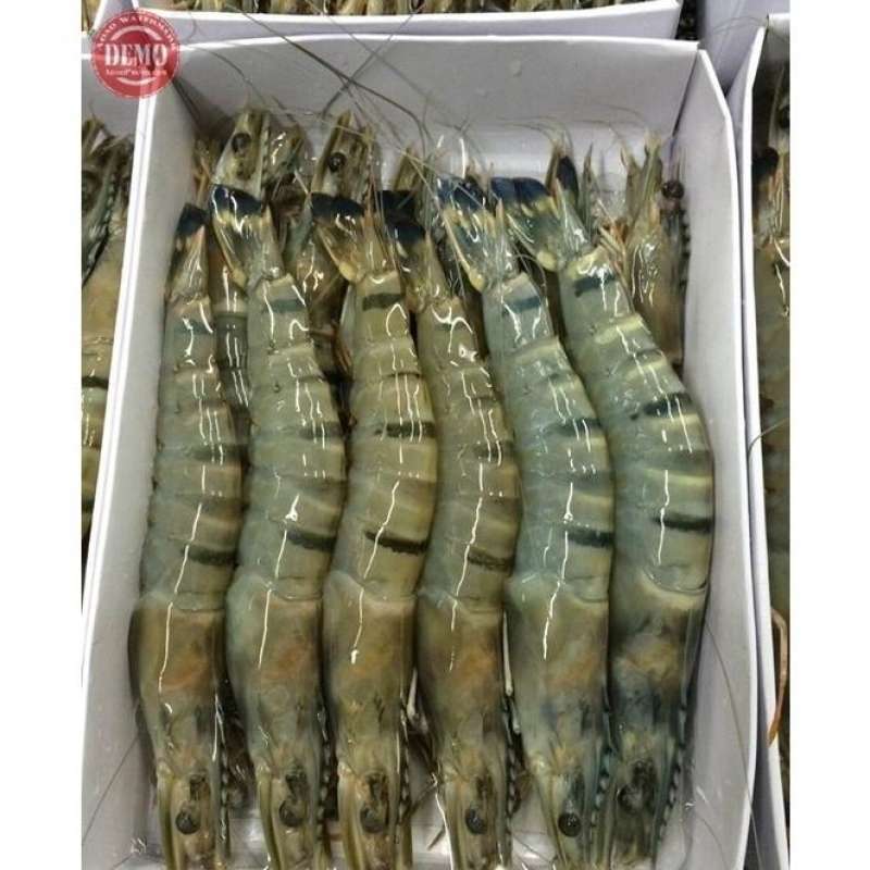 Jual Udang Windu / Udang Tiger Segar Fresh 1kg Bergaransi Halal Di ...