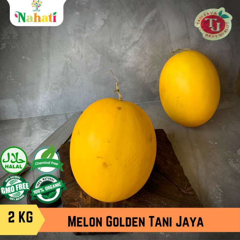 Jual Buah Melon Golden Manis dan Segar Halal di Seller Gobeef id ...